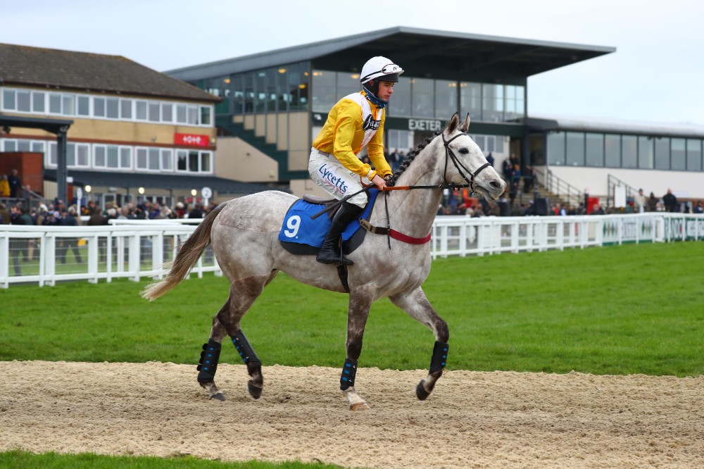 Old Gold Racing: Our Horses